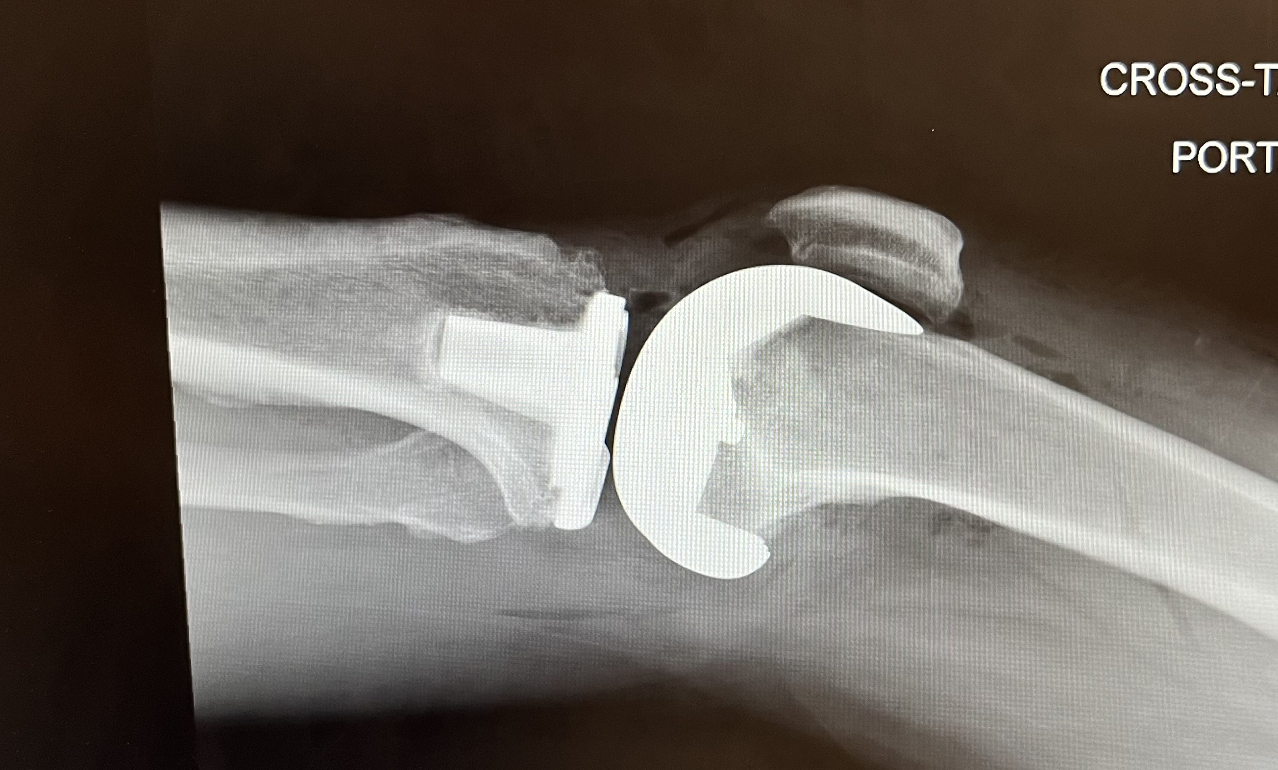 No. 185: Hermitage Road 2: Rebuilding the Alcatraz Paint & Varnish Co ...