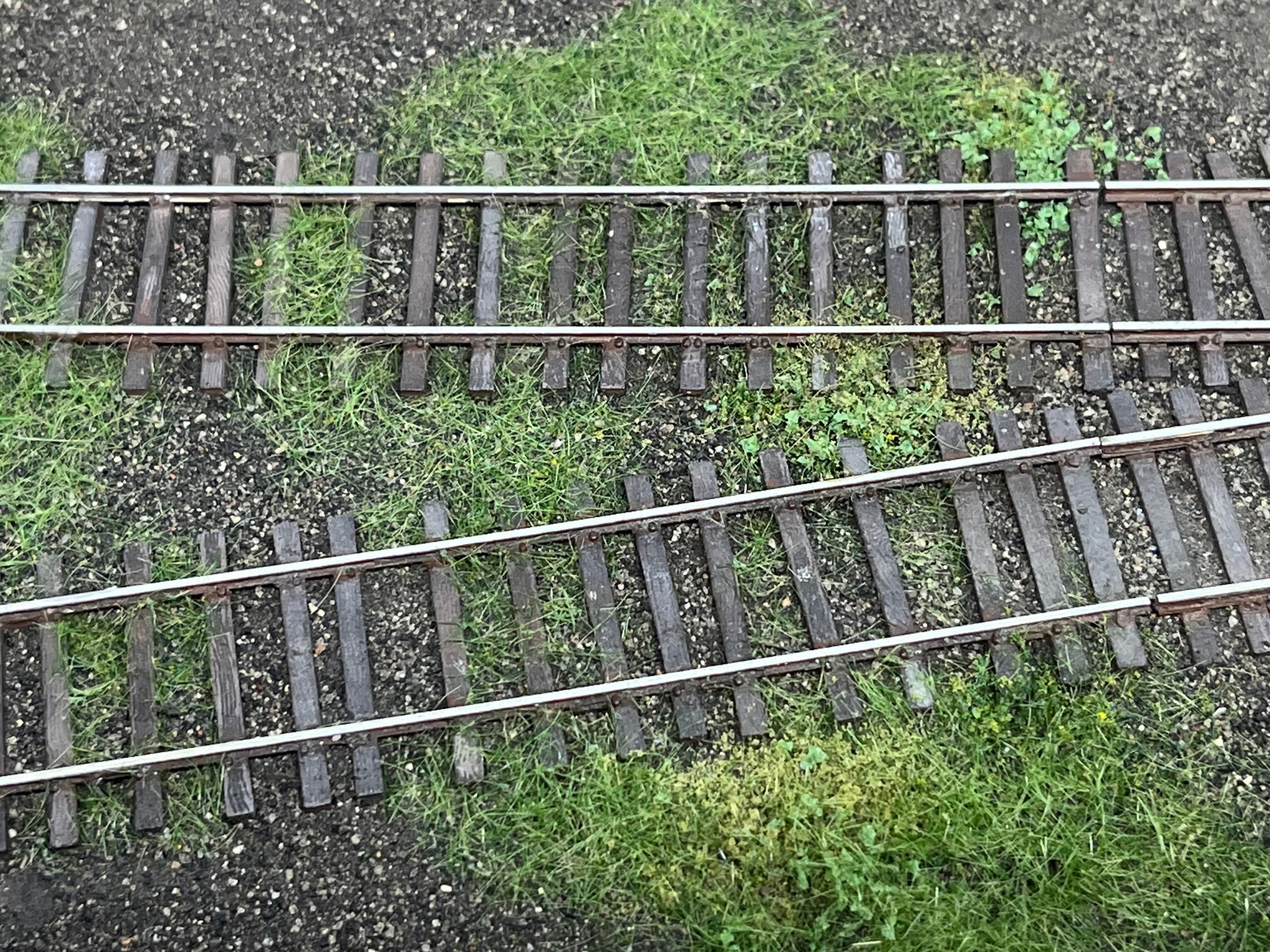 No. 190: Track Scenery on Hermitage Road – Railroad Prototype Modeler